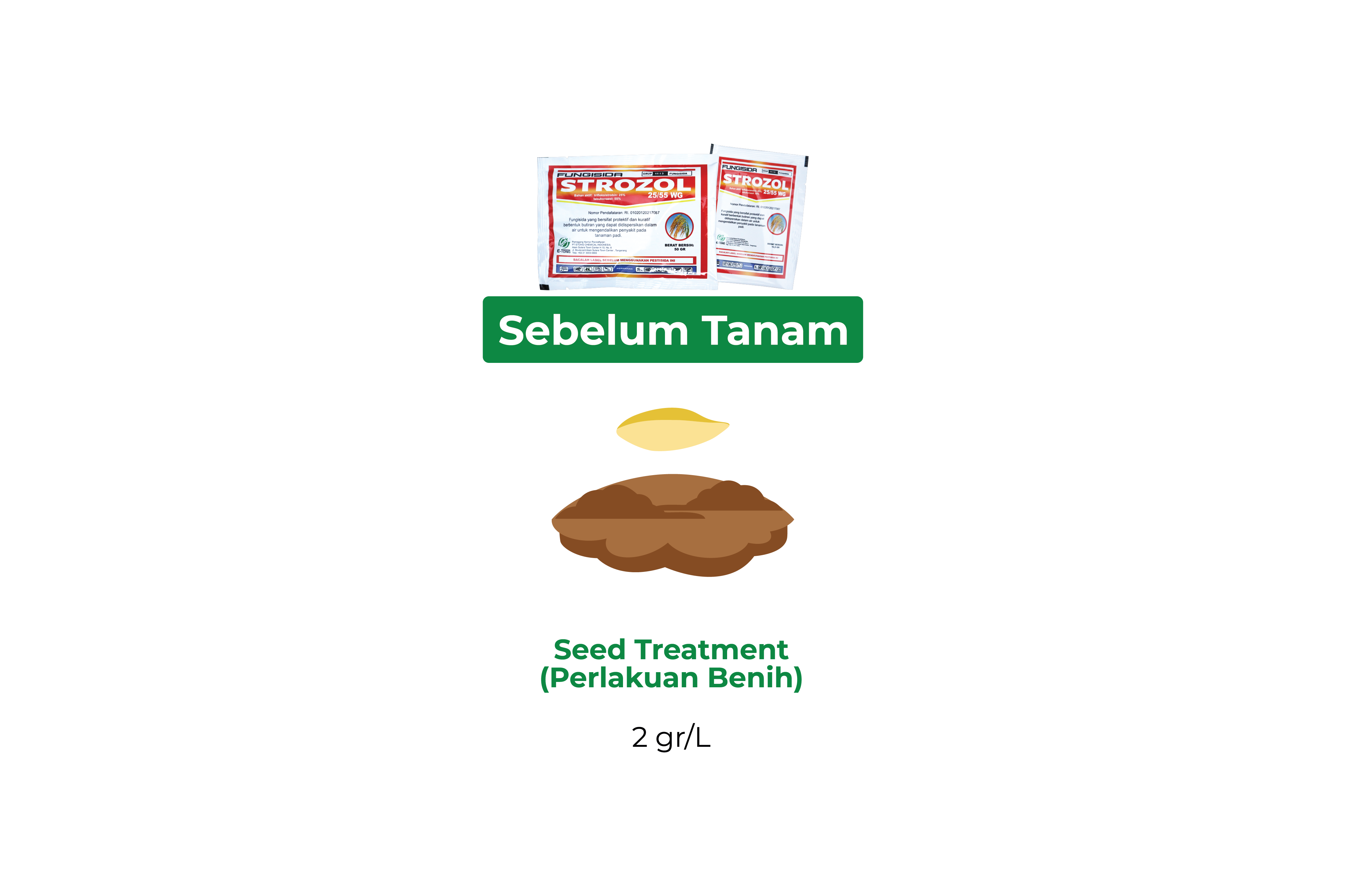 Pengendalian Penyakit Blast pada Tanaman Padi – PT ETONG CHEMICAL INDONESIA